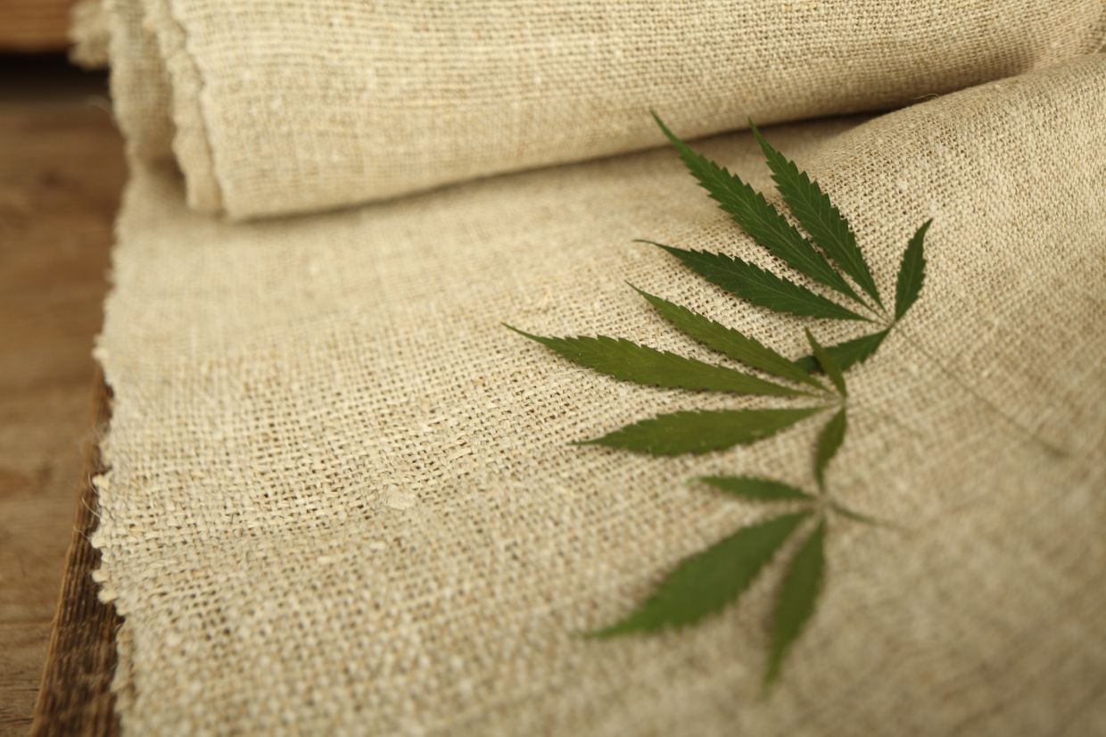 Hemp Fabric – Production, Benefits, and Applications - Modaknits Apparel