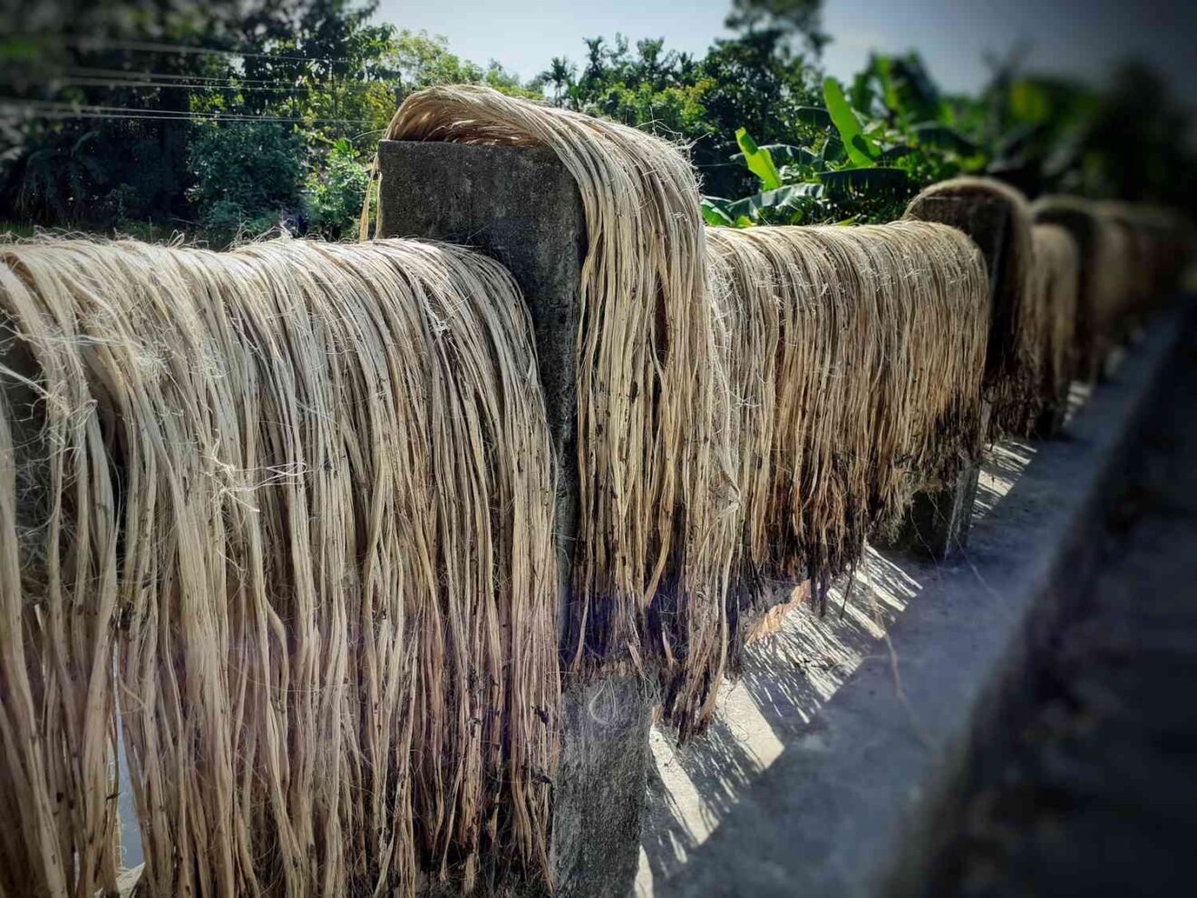 Jute Fabric – Features, Apparel Uses, and Sustainability - Modaknits